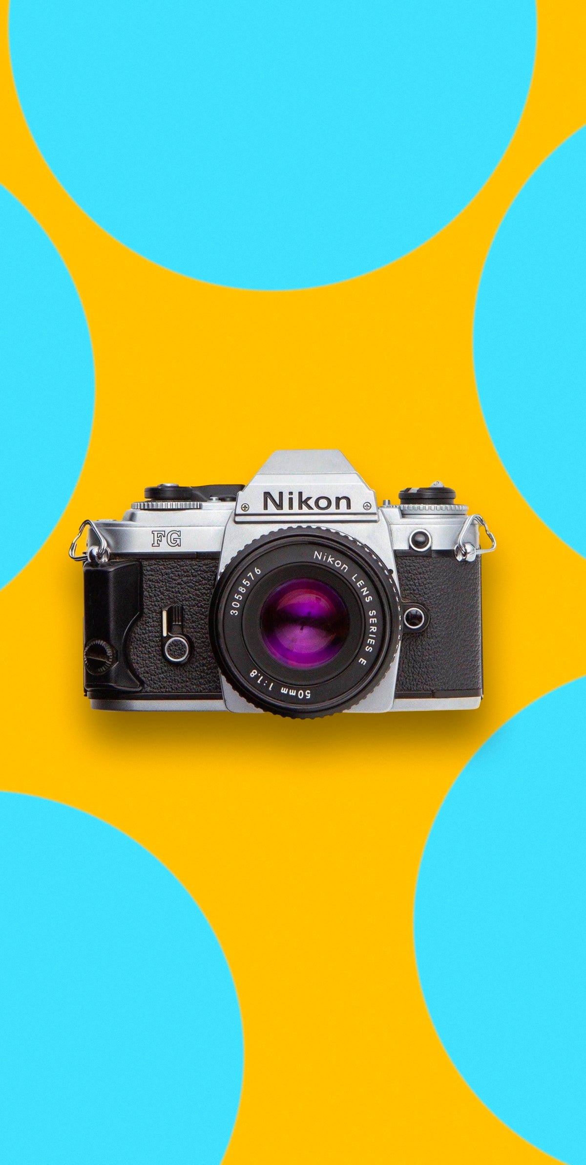 Cute Camera Co. | Shop Vintage Film Cameras