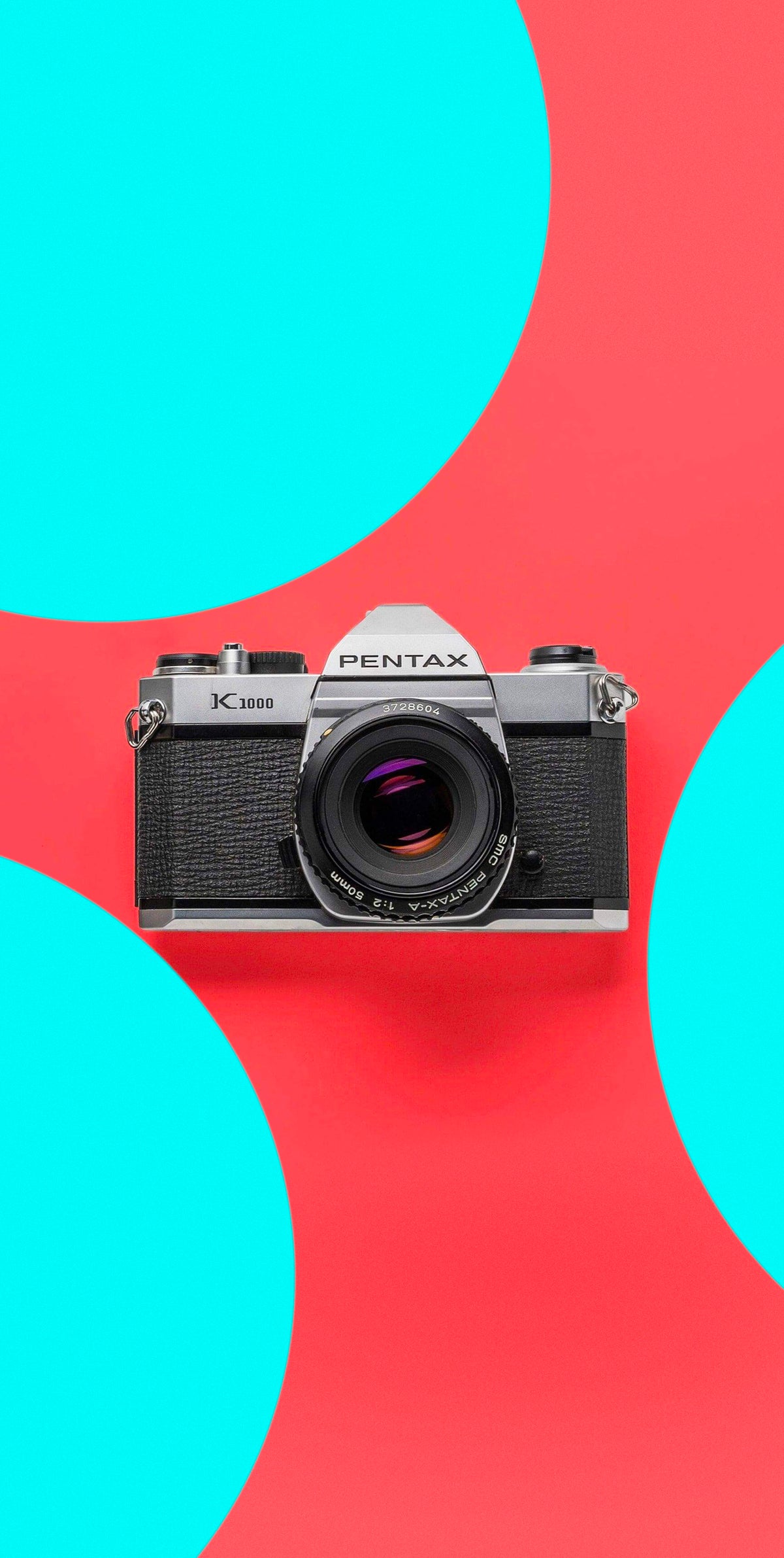 Cute Camera Co. | Shop Vintage Film Cameras