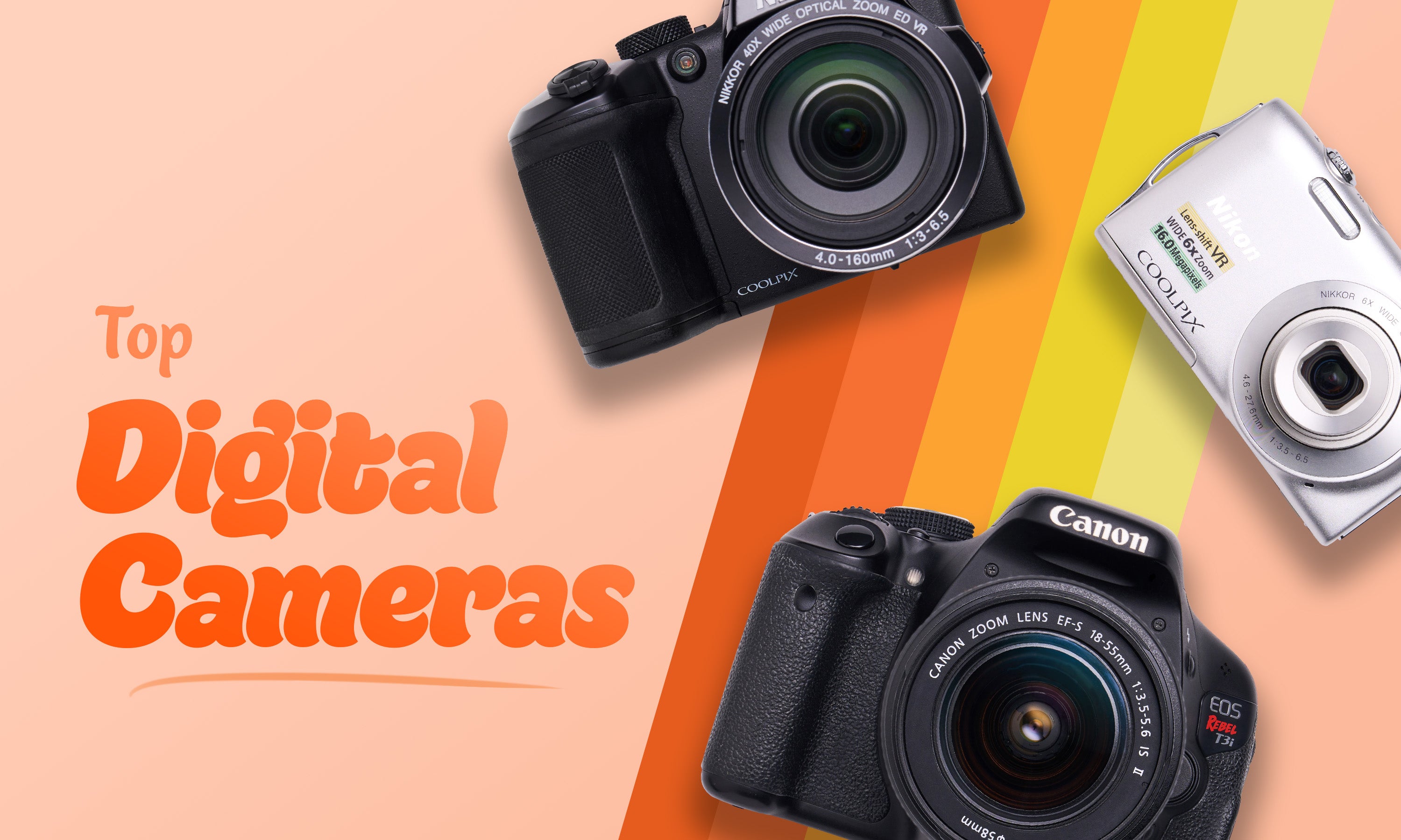 Lovingly Restored Film Cameras and Retro Digicams