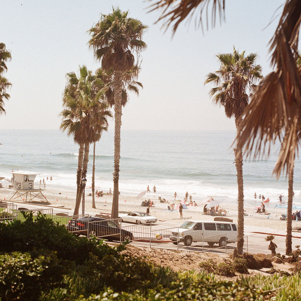 Santa Gold 200, 35mm Film