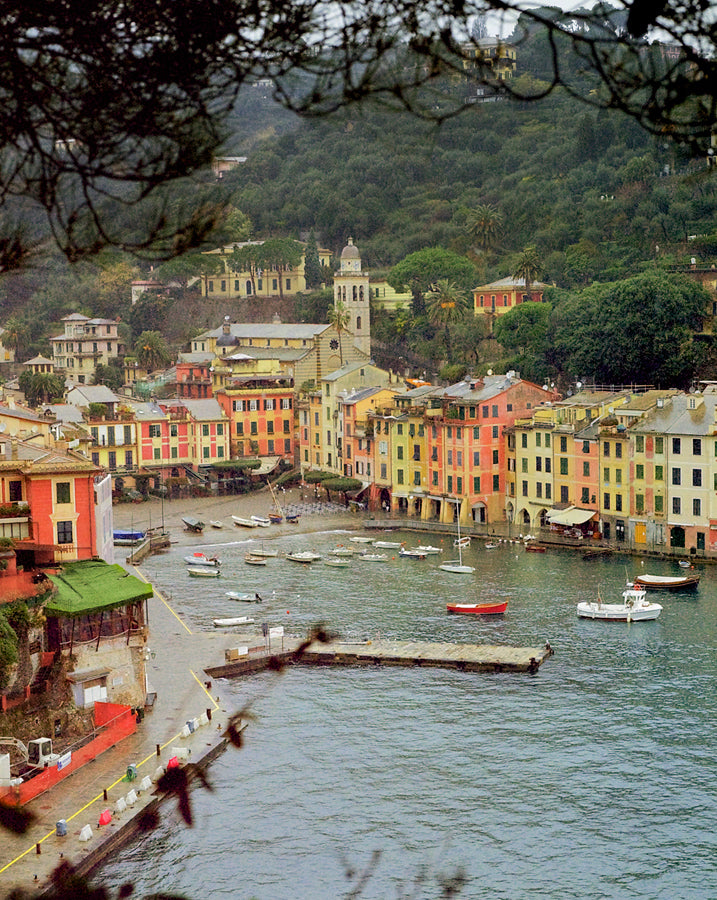 35mm Film Variety Pack - 4 Pack | Cute Camera Co.