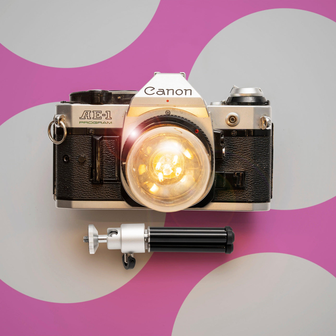 Cute Camera Co. Desk Lamp