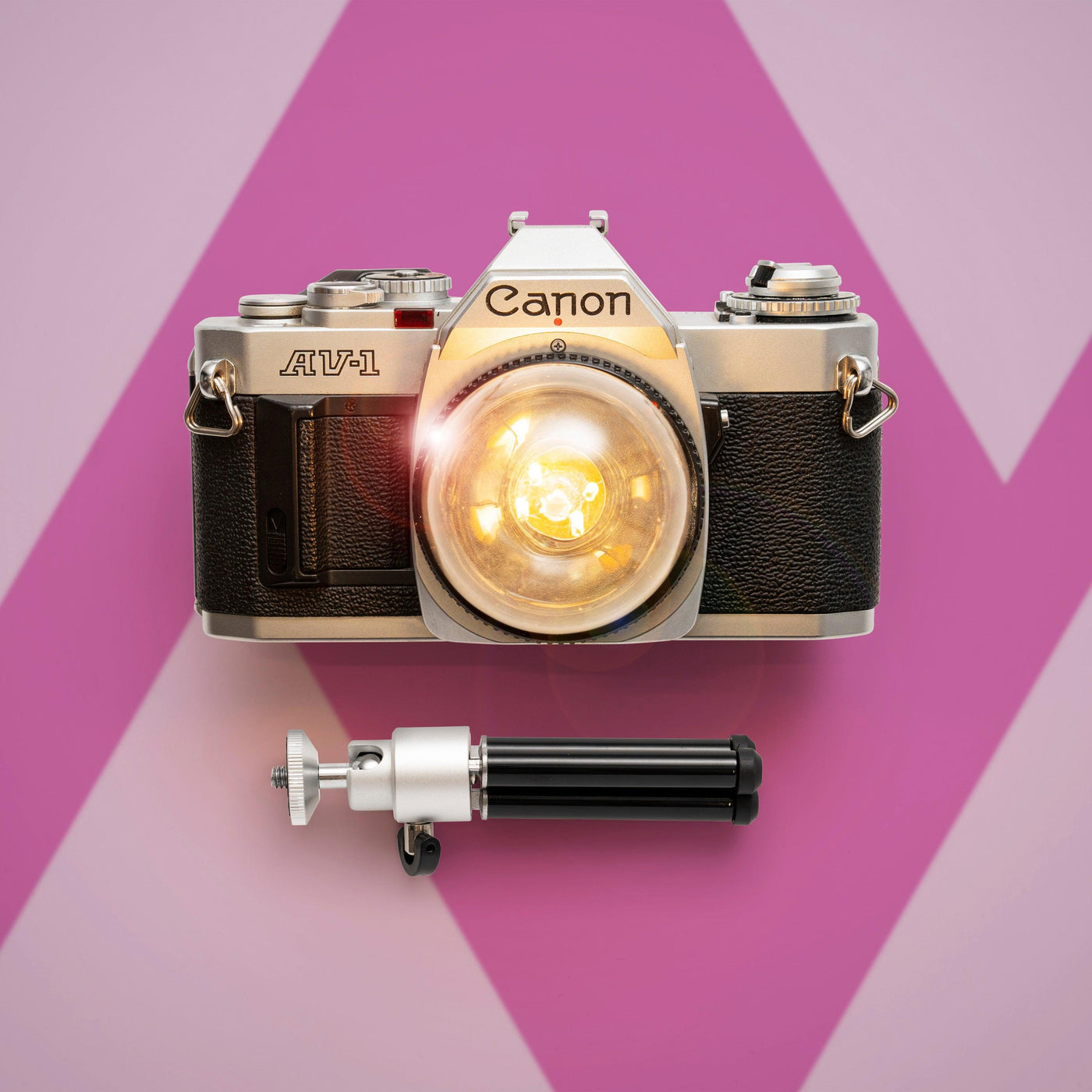 Cute Camera Co. Desk Lamp